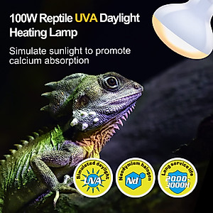 REPTI ZOO 100W Reptile Heat Lamp Bulbs Combo, Upgraded 2 Pack Day & Night Basking Spot Light, UVA Daylight Heating Lamp & Infrared Heat Lamp for Reptiles & Amphibians
