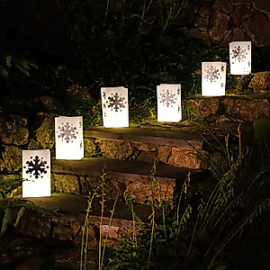 LumaBase 82236 Battery Operated LED Luminaria Kit, Snowflake
