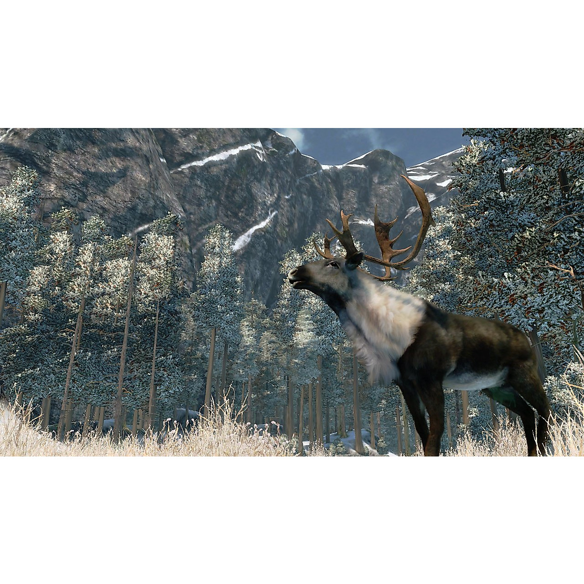 Cabela's Outdoor Adventure '10 - Playstation 3