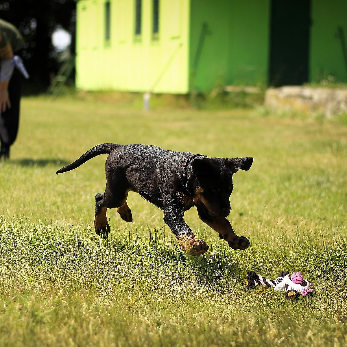 ARITHBIRD Squeaky Dog Toys - Cute Cow Shape Stuffed Plush Toy for Small, Middle, and Large Breed Dogs - Durable Dog Chew and Teething Toys -Tough Plush Toys for Cats