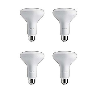 Philips LED Dimmable BR30 Light Bulb: 650-Lumen, 5000-Kelvin, 8-Watt (65-Watt Equivalent), E26 Base, Daylight, 4-Pack