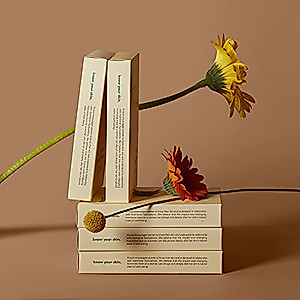 Knours Be Kind Everyday Mask (5ct) | 99% Natural Ingredients Hydrating + Soothing + Revitalizing + Relaxing Effect Facial Nourishing Sheet Mask (EWG Verified Clean Beauty)