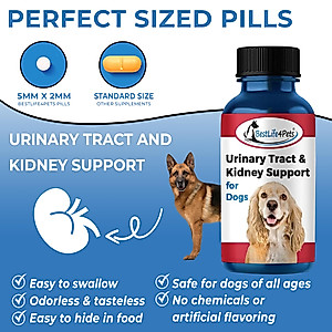 BestLife4Pets Dog UTI Kidney Support - Natural Urinary Tract Infection Treatment – Renal and Bladder Control Supplement – Easy to Use Pills (2 Pack)