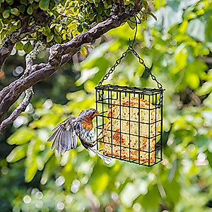 Suet Bird Feeders for Outside Hanging - Pack of 2 pcs x Single Suet Cake Capacity Basket/Cage for Feeding Wild Birds Outdoors/Backyard/Garden