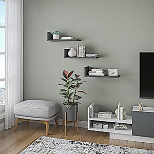 Ada Home Decor Washburn Modern Anthracite Wall Shelf 6.3'' H x 19.69'' W x 7.87'' D / Wall Storage / Shelving Unit