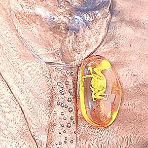 8pcs Amber Fossils with Insects Samples Stones Crystal Samples for Home Decorations Collections Oval Pendants Pendant Science Educational (8 Pcs)