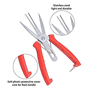 Kadimendium Tree Trimmers, Garden Secateurs Bonsai Tools for Outdoor Use for Branches for Fruit Yield