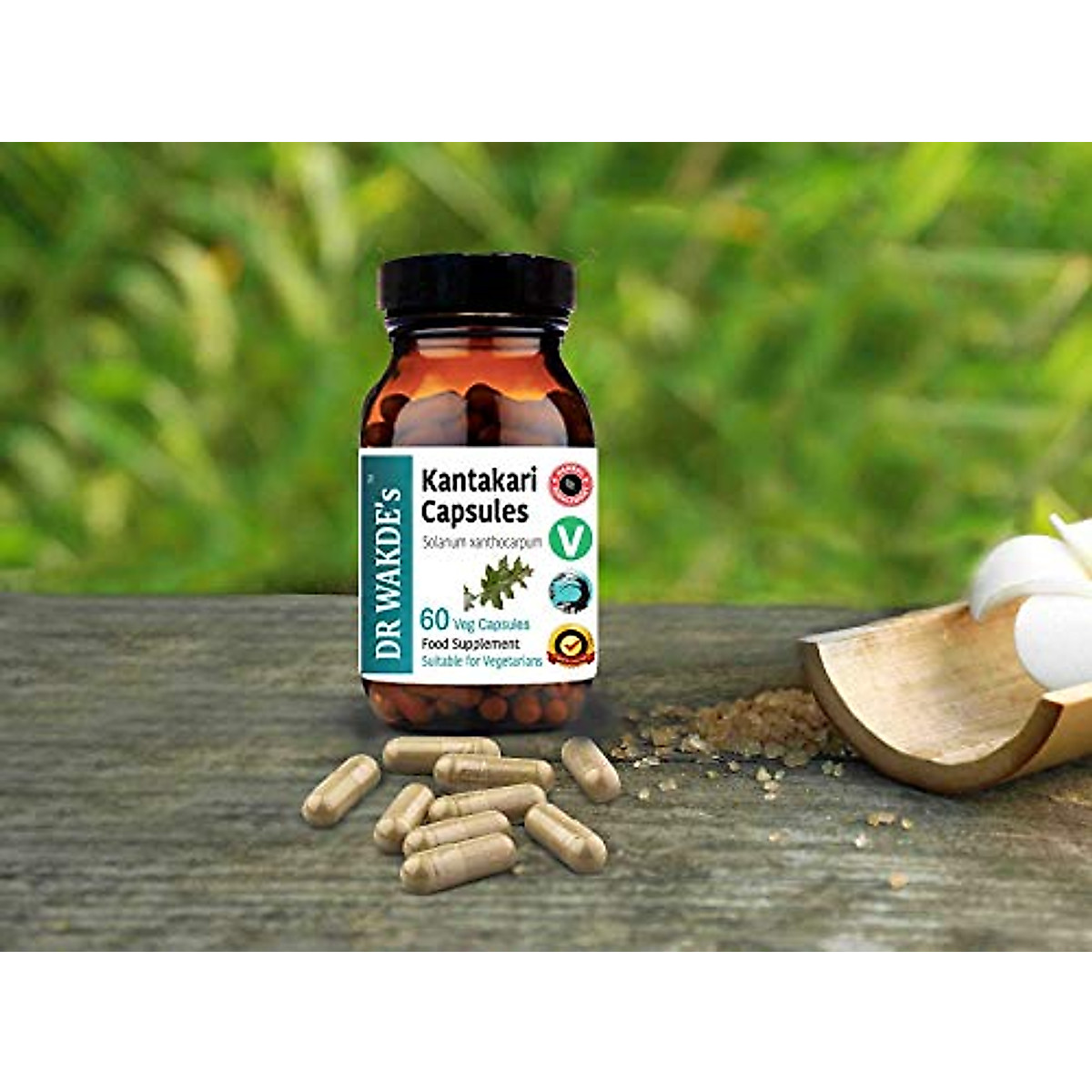 DR WAKDE'S Kantakari Capsules (Solanum xanthocarpum, 60 Veg Caps, Plant-Based Supplement, Ayurvedic Herb, All Natural, Vegan)