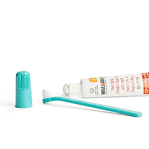 Well & Good Cat Dental Health Kit with Chicken Flavored Toothpaste 2.5 oz.
