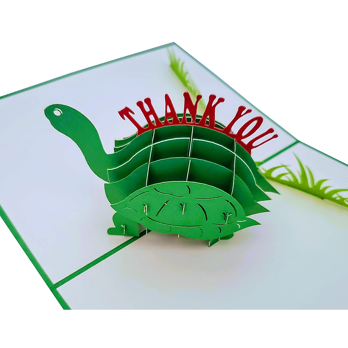 iGifts And Cards Cute Turtle Thank You 3D Pop Up Greeting Card - Funny Animals, Turquoise, Blank, Cool, Fun, Half-Fold, Thank You, Gratitude, Appreciation, Friendship, Best Friend, Belated, Kids, Grad
