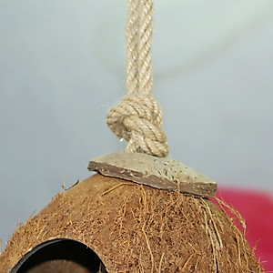 SLDHFE Coconut Bird Nest Hut,Natural Coconut Shell Bird Nest House,Coconut Bird Shell Breeding Nest for Hamster,Bird Cage Accessories,Pet Bird Supplies