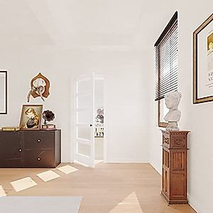 SOLRIG 30" x 80" French Interior Door - 5 Lites Tempered Frosted Glass Pantry Door Panels, Closet & Bathroom Single Door Slab, White Primed, MDF - Panel Need to Assembly