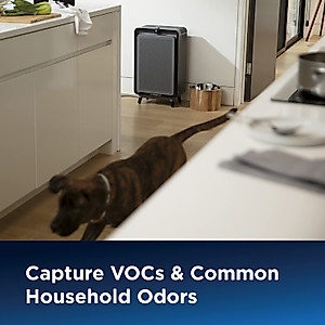 BISSELL, 2677 Replacement Carbon Filter for Air220 and Air320 Air Purifier