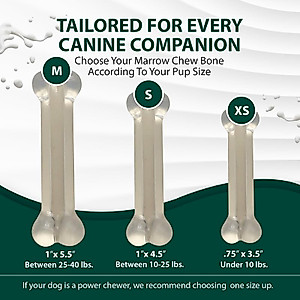 Sporn Marrow Milkies Chew Bones for Light Chewers, Milk Flavor Dog Chew Toys for Small Dogs, Made with Soft Thermoplastic Rubber Dog Dental Chew Toy, Gluten-Free & Non-Toxic, Small