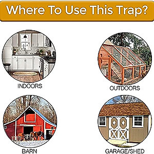 Bucket Lid Mouse Trap 2 Pack, 5 Gallon Mouse Trap Bucket Lid, Humane Mouse Traps Indoor for Home, No See Kill, Auto Reset, Reusable Rat Mice Trap