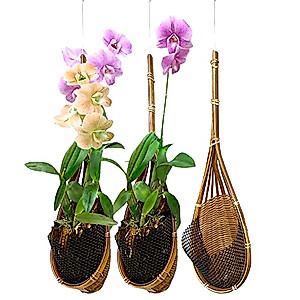 PANWA Handmade 100% Thai Bamboo Woven 4 Inch Hanging Orchid Basket - Set of 3 Multi-Purpose Bird Nest Style Plant Hangers for Gazebo - Indoor/Outdoor Flower Planter (Natural Brown)