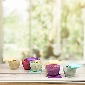 Tupperware Plastic Container - 400ml, 6 Pieces, Multicolour