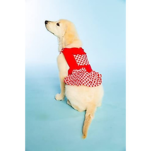 Doggy Parton Red Gingham Overalls Dress for Pets, Small (22120769)
