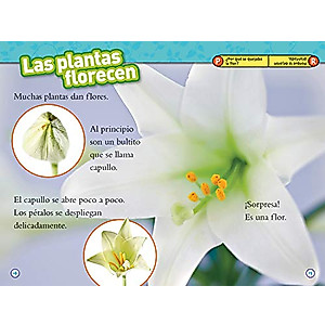 National Geographic Readers: De Semilla a Planta (L1) (Spanish Edition)
