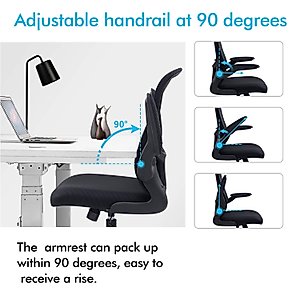 FelixKing Office Chair, Ergonomic Desk Chair with Adjustable Height, Swivel Computer Mesh Chair with Lumbar Support and Flip-up Arms, Backrest with Breathable Mesh (Black)