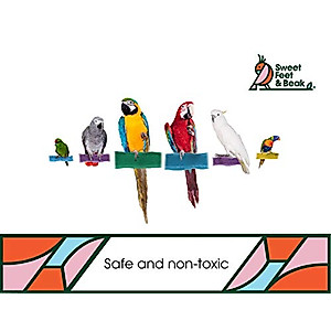 Sweet Feet and Beak Comfort Grip Safety Perch for Bird Cages - Patented Pumice Perch for Birds to Keep Nails and Beaks in Top Condition - Safe Easy to Install Bird Cage Accessories - M 8.5"