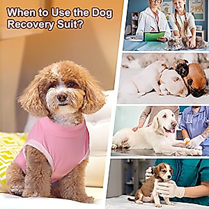 SAWMONG 2 Pack Recovery Suit for Dogs After Surgery, Dog Recovery Suit Dog Spay Surgical Suit for Female Dogs, Dog Onesie Body Suit for Surgery Male Substitute Dog E-Collar,L