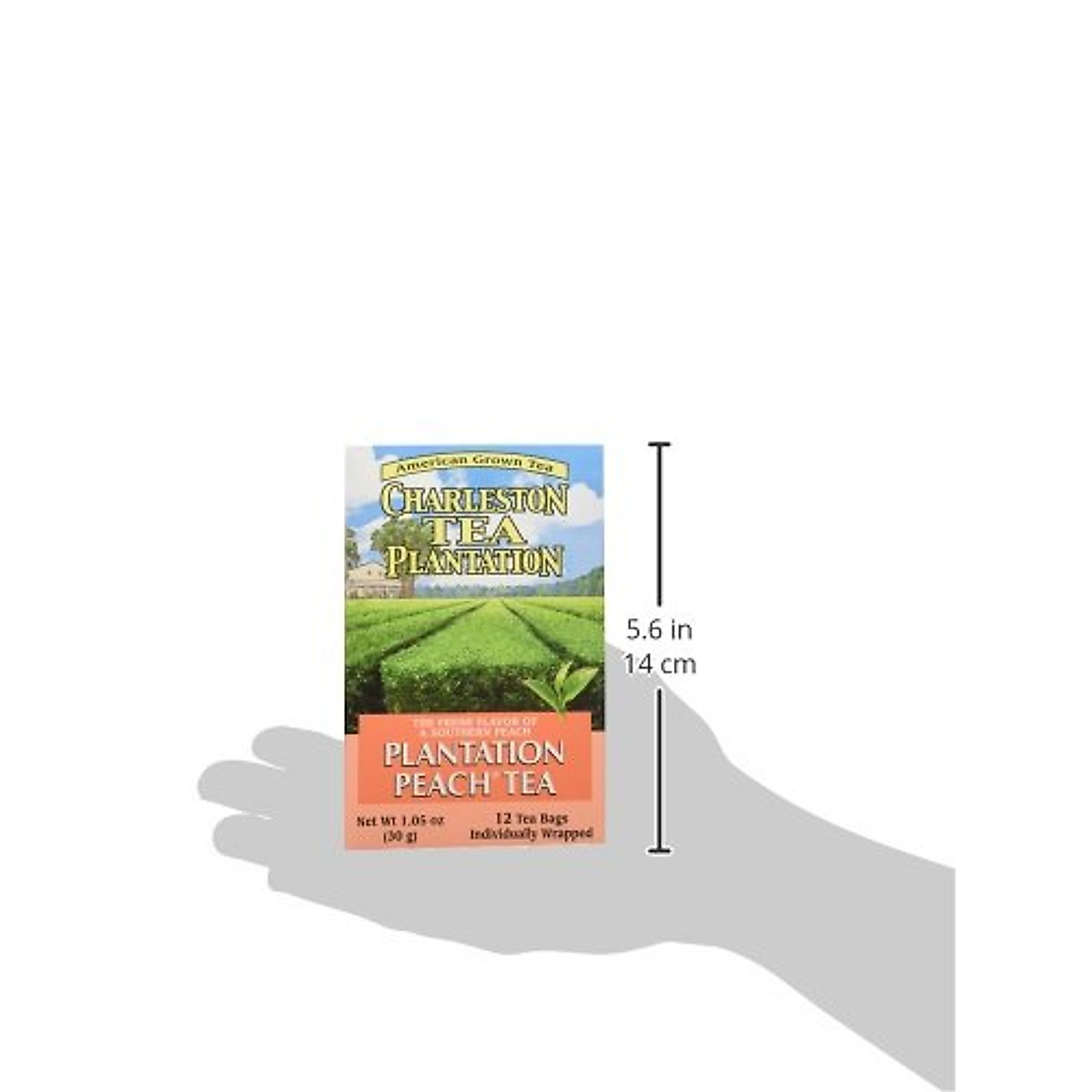 Peachy Peach Pyramid Teabags, 12 Count, 1.05 Ounce (04358)