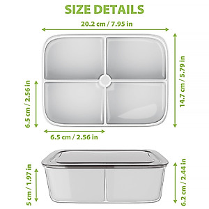 Freshmage® Veggie Tray with Lid, Small Divided Serving Tray Container with 4 Removable Compartments for Food Storage of Fruits/Vegetables/Snacks, DISHWASHER SAFE & BPA-FREE