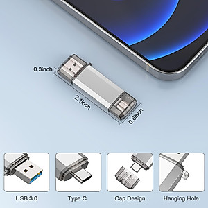 RAOYI 128GB USB C Flash Drive, 2 in 1 USB 3.0 Type C Dual OTG Metal Thumb Drive Jump Drive Memory Stick with Keychain Suitable for USB-C Smartphones, MacBook, Computers and Tablets (Silver)