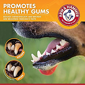 Arm & Hammer for Pets Clinical Care Dental Gum Health Enzymatic Toothpaste for Dogs | Soothes Inflamed Gums | Dog Toothpaste is Safe for All Dogs and Puppies, Beef Flavor, 2.5 Ounces