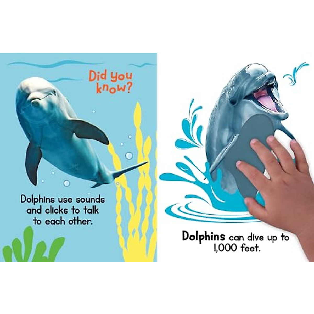 Ocean Friends - Touch and Feel Board Book - Sensory Board Book