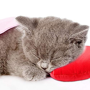 Jetec 3 Pcs Valentines Heart Pillows Red Heart Shaped Pillow Plush Mini Hanging Toys Cushion Stuffed Heart Pillow Plush Heart Decorative for Valentine's Day Bed Chair Sofa Cars Living Room Office