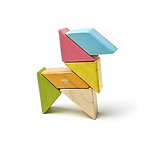 6 Piece Tegu Pocket Pouch Prism Magnetic Wooden Block Set, Tints