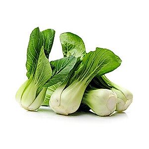 Pak Choi Cabbage Seeds for Planting, 500+ Heirloom Seeds Per Packet, (Isla's Garden Seeds), Non GMO Seeds, Botanical Name: Brassica rapa subsp. chinensi, Great Home Garden Gift
