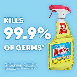 Windex Multi-Surface Cleaner and Disinfectant Spray Bottle, Scent, Citrus Fresh, 23 Fl Oz (Pack of 1)