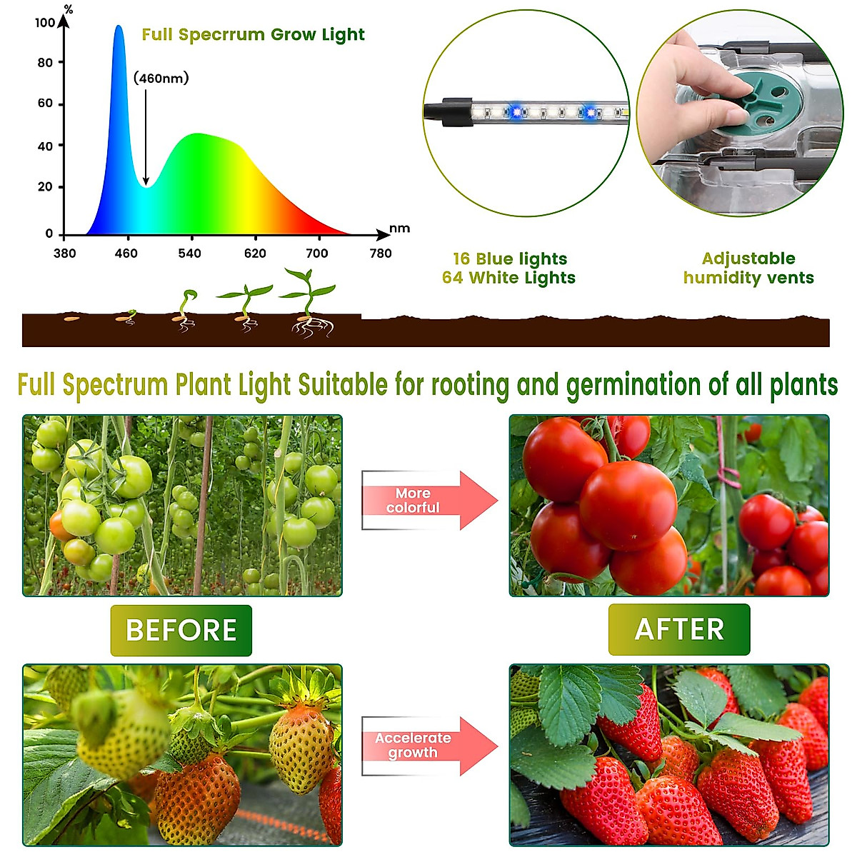 MQUPIN Seed Starter Tray with Grow Light 4 LED, 2 Pack/80 Cells Adjustable Brightness Seed Starter Kit,Seedling Starter Kit with Dome and Base for Greenhouse Seeds Growing Starting(Green)
