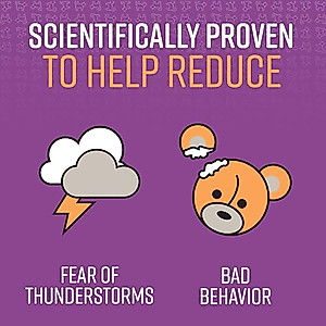 SENTRY PET Care Sentry Calming Collar for Dogs, Anxiety Reducing Pheromone Collar, Releases Pheromones for 30 Days, Helps Calm During Loud Noises and Separation, 1 Count, Purple