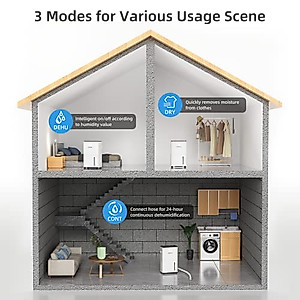 HOGARLABS 3500 Sq. Ft 50 Pint Energy Star Dehumidifier for Home Basements Bedroom Bathroom | Dehumidifiers with Drain Hose for Medium to Large Room | Intelligent Humidity Control | Quiet & Energy Efficient