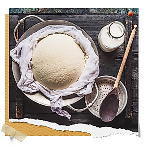 Liquid Microbial Rennet For Cheese Making | Vegetarian | Milk Coagulant | Make Cheese At Home Including Vegan Cheese |