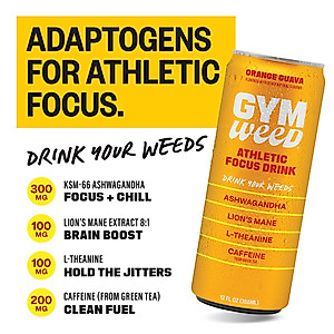 GYM WEED Athletic Focus Drink with KSM-66 Ashwagandha, Lion's Mane Mushroom, L-Theanine, 200mg Green Tea Caffeine with Natural Sweeteners Variety Pack of flavors, 12 Pack