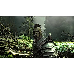 The Elder Scrolls V: Skyrim - PC