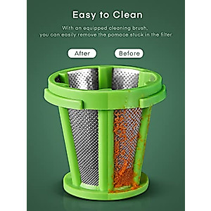 Juicer Machines, HOUSNAT Professional Celery Slow Masticating Juicer Extractor Easy to Clean, Cold Press Juicer with Quiet Motor and Reverse Function for Fruit & Vegetable, Brushes & Recipes Included, Black