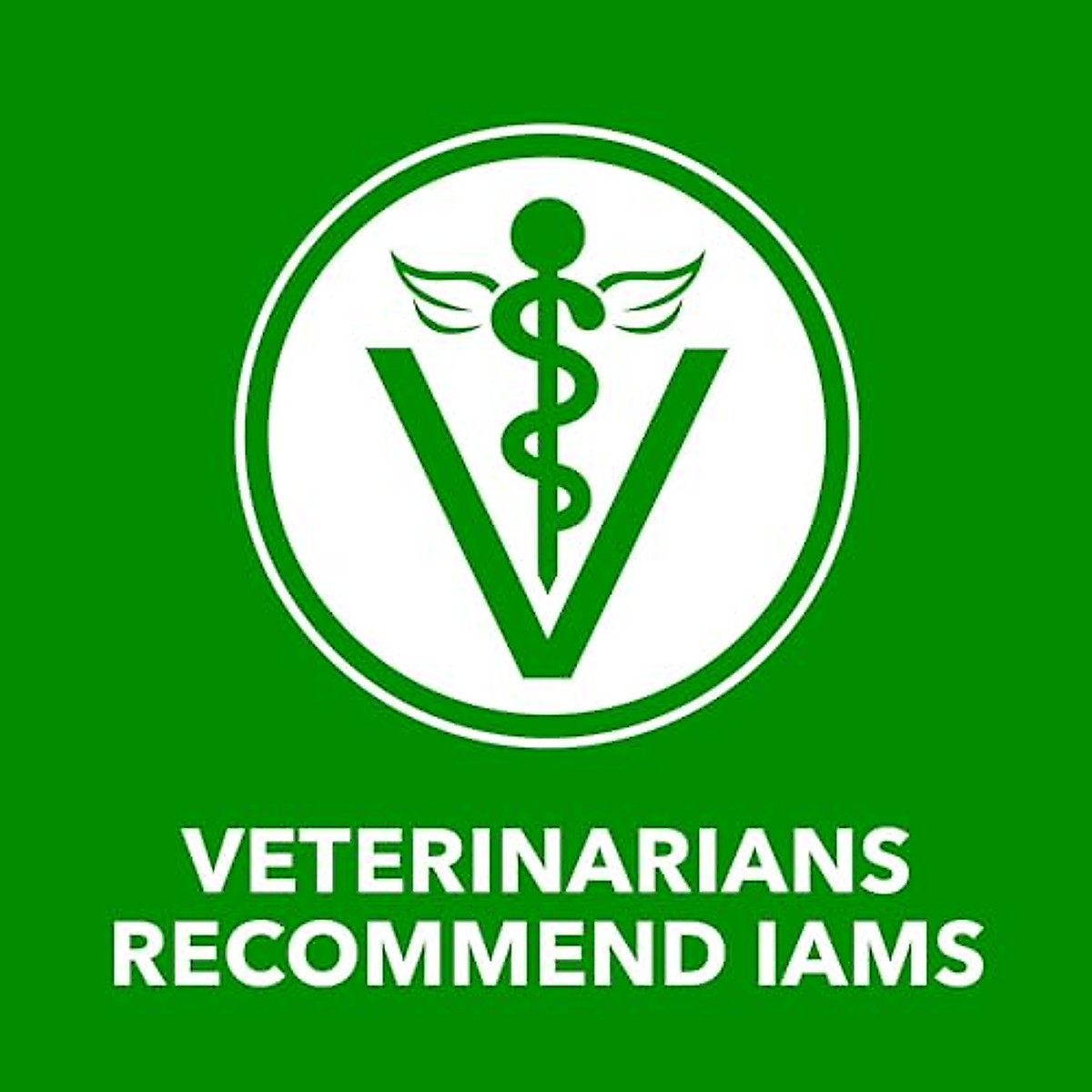 Iams Proactive Health Wet Dog Food, Lamb Chunks in Gravy, 13 oz., Pack of 12