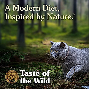 Taste of the Wild Canyon River Feline Recipe with Trout & Salmon in Gravy 5.5oz