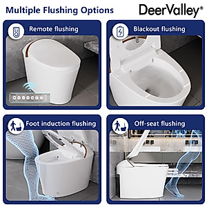 DeerValley Smart Toilet, One Piece Smart Toilet with Bidet Built in, Elongated Toilet with Auto Open & Close, Auto Flush, Warm Water Sprayer & Dryer, Heated Seat, Foot Kick Operation