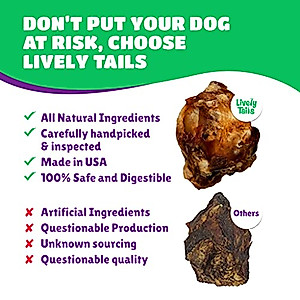 Lively Tails Dog Bones for Aggressive Chewers, Knee Caps for Dogs, Dog Bones for Large Dogs, Dog Bones for Medium Dogs and Small Dogs, Beef Bones for Dogs Long Lasting, Knee Bones for Dogs, 10 Count
