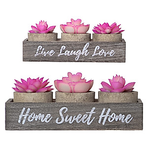 3 Small Fake Succulents Plants Artificial Rustic Centerpiece Box Faux Indoor Work Home Office Decor Women Cute Aesthetic Succulent Plant Desk Bedroom Coffee Table Decorations Living Room Dorm Décor