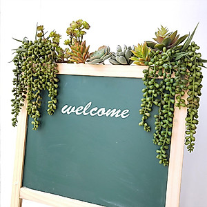 Supla 4 pcs Artificial Hanging Succulents Faux Burro's Tail Picks Trailing String of Pearls Succulent Greenery Sprays 13.4" L for Basket Planter Centerpiece Floral Arrangement Indoor Outdoor Decor