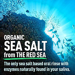 H2Ocean Healing Rinse Mouthwash- Great Tasting Sea Salt & Xylitol Mouth Wash for Fresh Breath & Dry Mouth - Alcohol & Fluoride Free - Lemon Ice 8oz