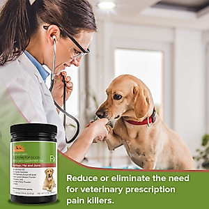 WellyTails Glucosamine Chondroitin MSM Turmeric Dog Joint Supplement for Large Dogs 12.2 oz. (60 Scoops)